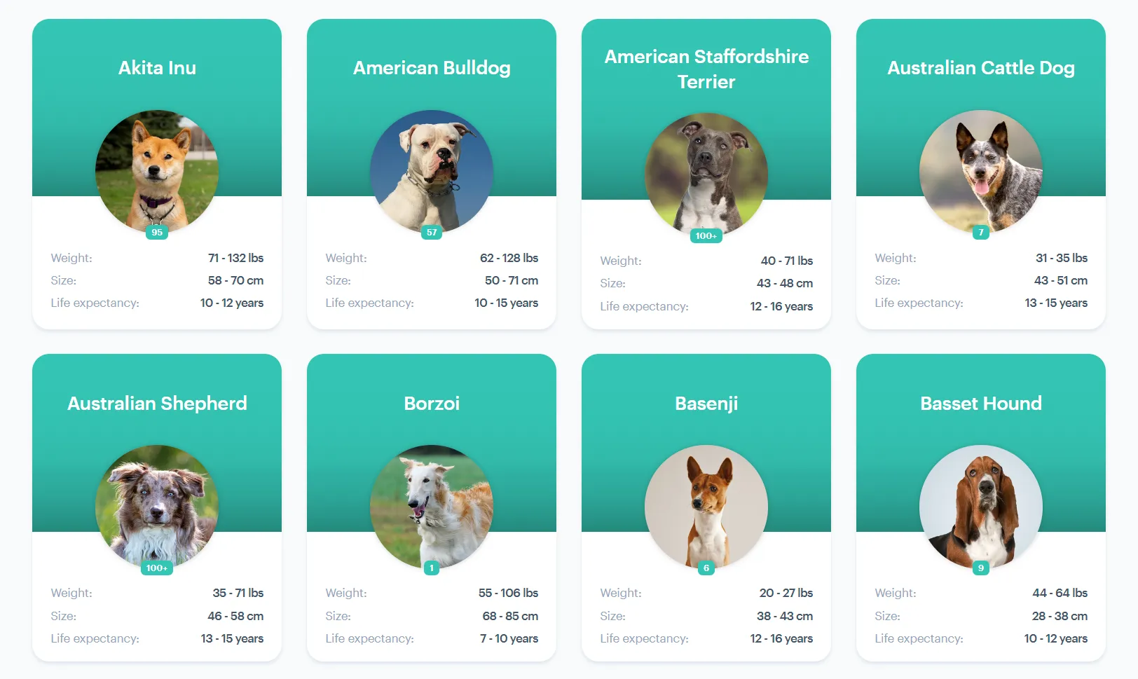 Pomsky: Weight Charts, Life Expectancy, Size, and More